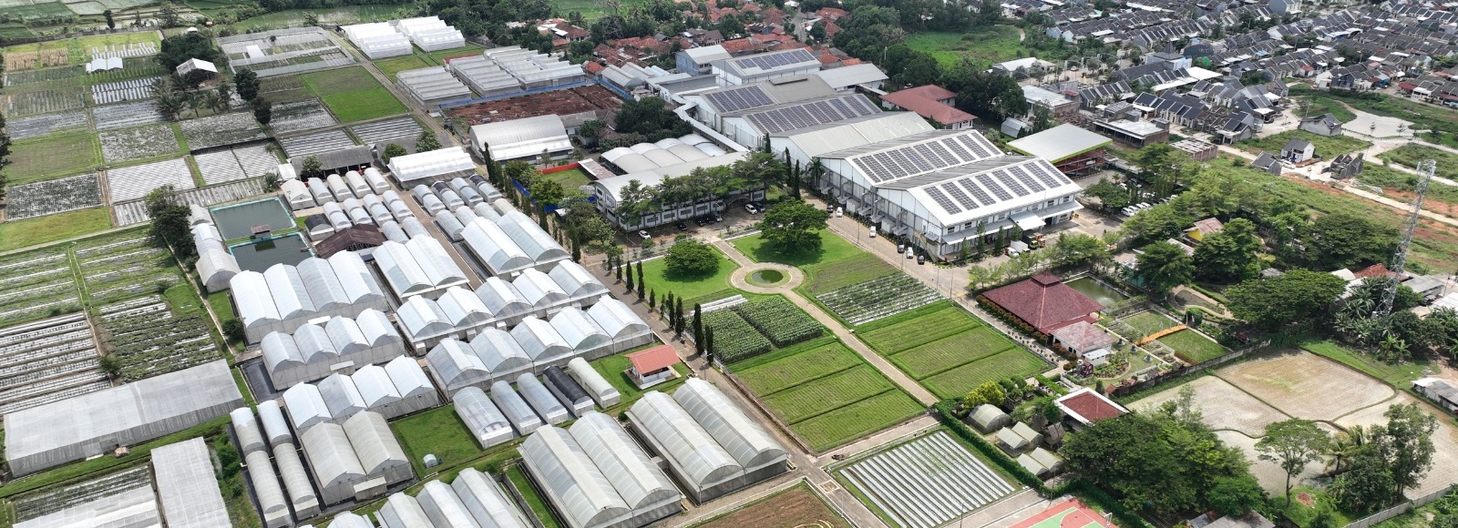 Home | PT East West Seed Indonesia