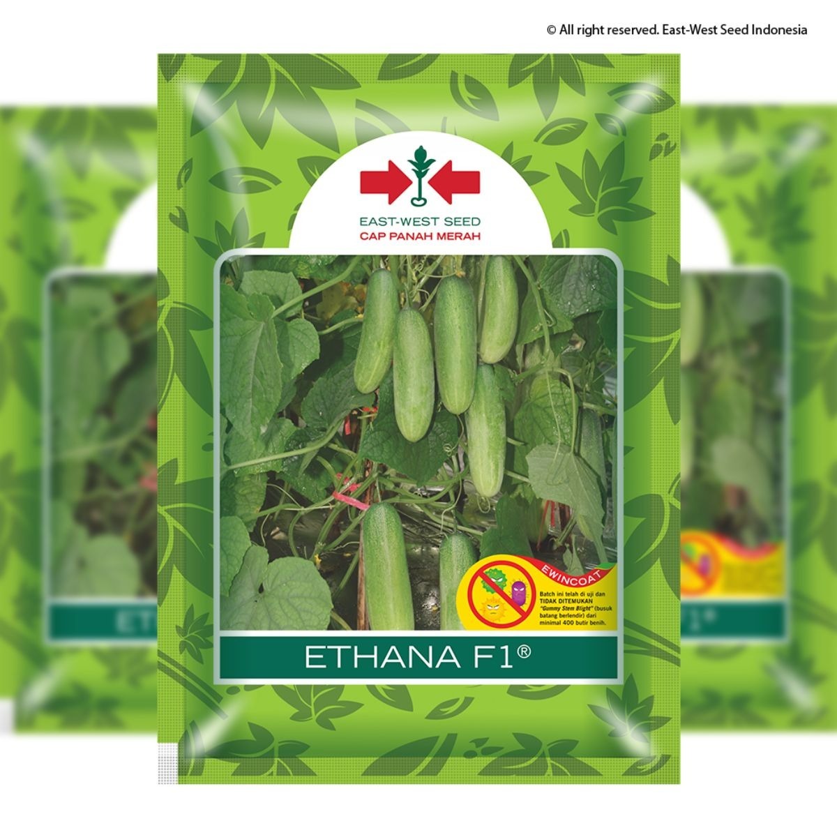 Product | PT East West Seed Indonesia